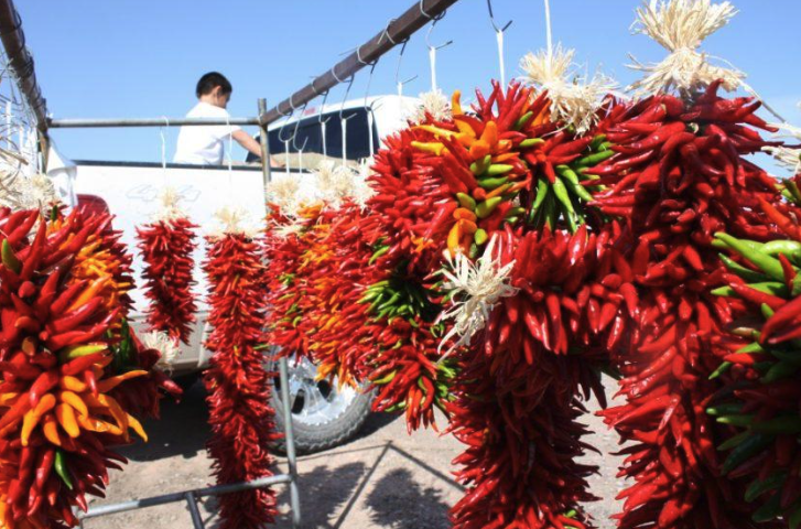 Exploring the Tradition and Flavor of Hatch Chile Ristras - TodayUSABlog